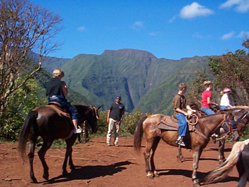 West Maui Oceanfront Trail Horseback Riding Tour (Wailuku) [Open Now ...