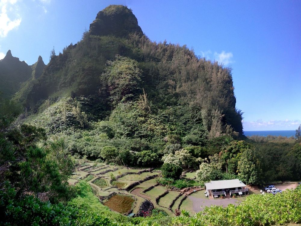 Limahuli Valley and Gardens - Kauai - VELTRA
