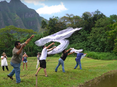 Kualoa Ranch Combo - Movie Sites, Private Beach, Farm Tour & Buffet ...