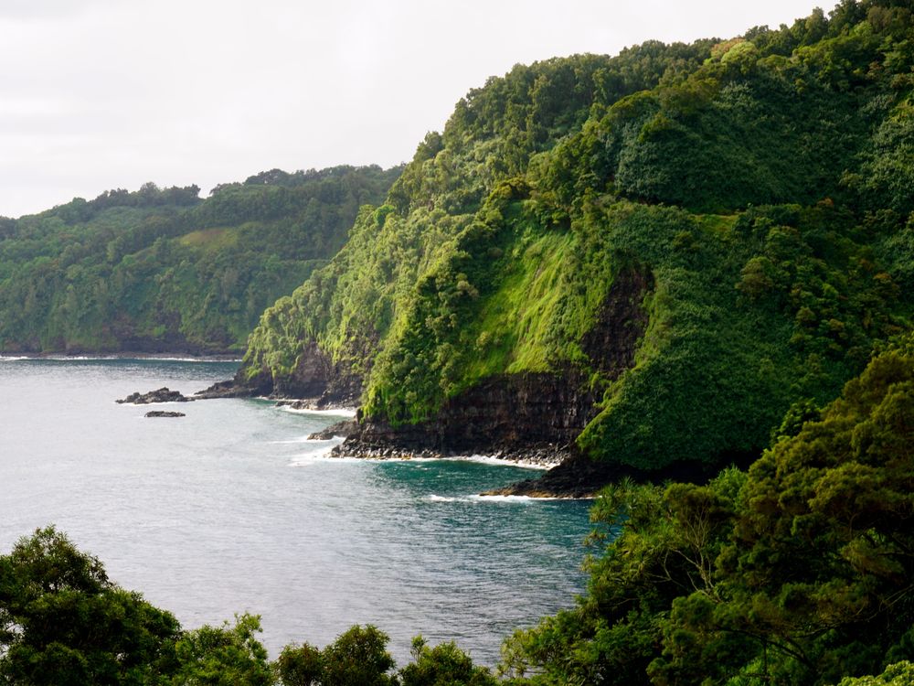 Private Road to Hana Shore Excursions from Kahului Pier - Waterfalls ...