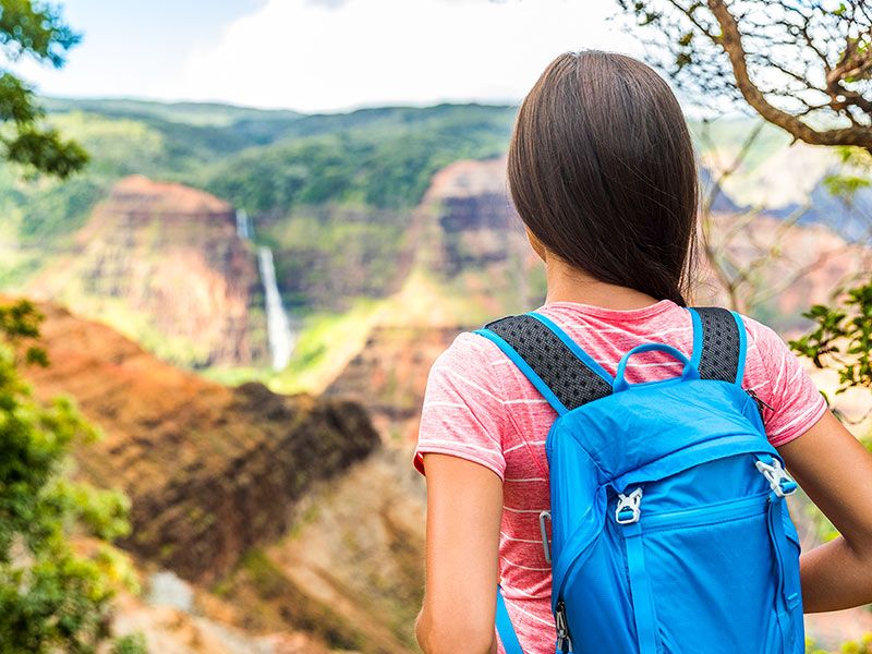 Kauai Private Guided Tours Book Kauai Tours Activities And Things To Do With