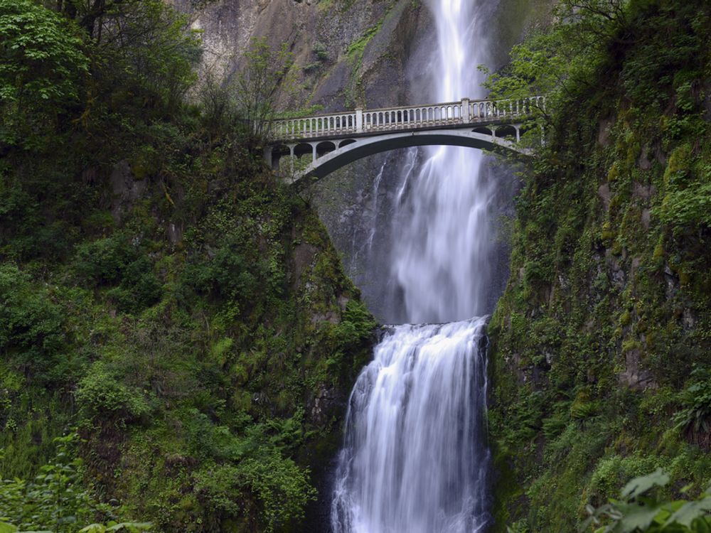 Columbia Gorge Waterfalls and Winery Sightseeing Tour - Portland - VELTRA