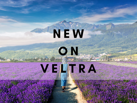 Japan tours & activities, fun things to do in Japan. | VELTRA