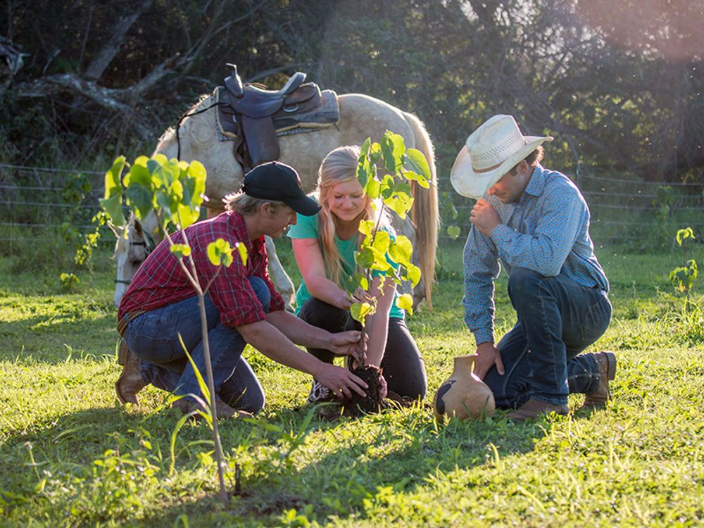 Gunstock Ranch Hawaiian Tree Planting with ATV or Horseback Tour ...