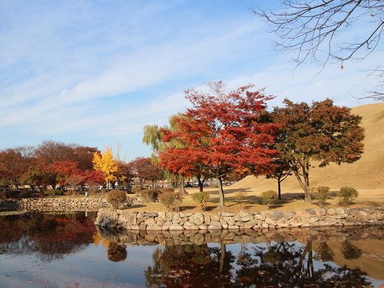 Full Day Autumn Gyeongju Tour from Busan with Optional Hanbok Rental ...