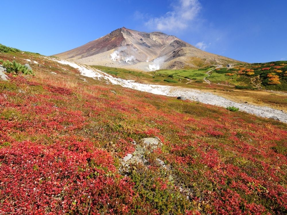 2 Day Hokkaido Fall Foliage Tour with Hot Spring Resort Accommodation ...