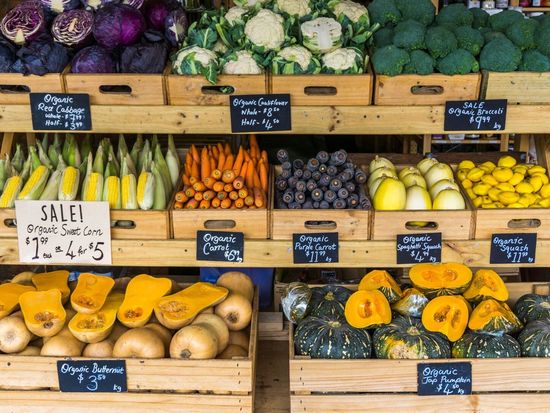 Melbourne Small Group Multicultural Market Tour with International Food ...