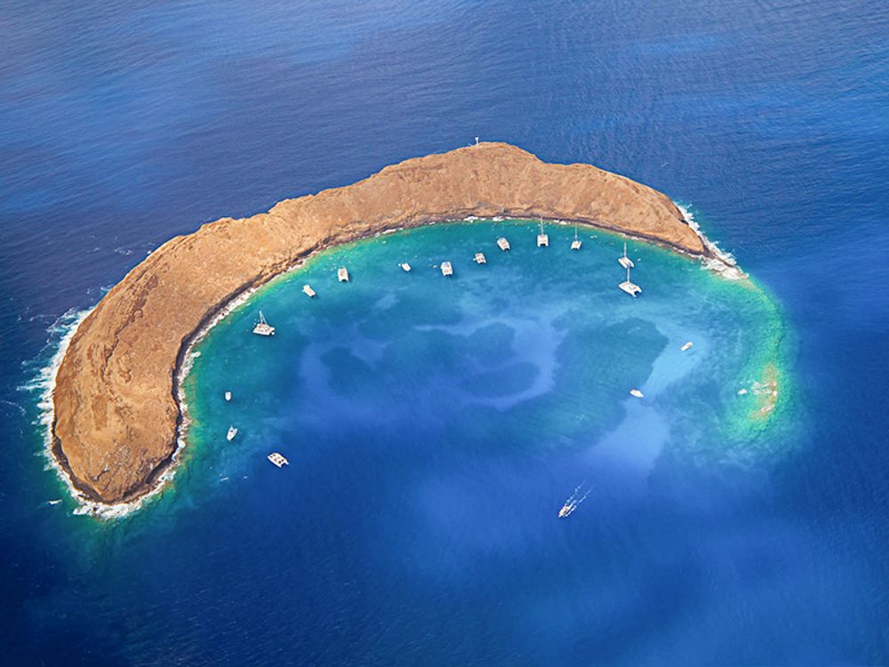 Molokini Snorkel Tour & Swim with Turtles Cruise - PacWhale Eco ...