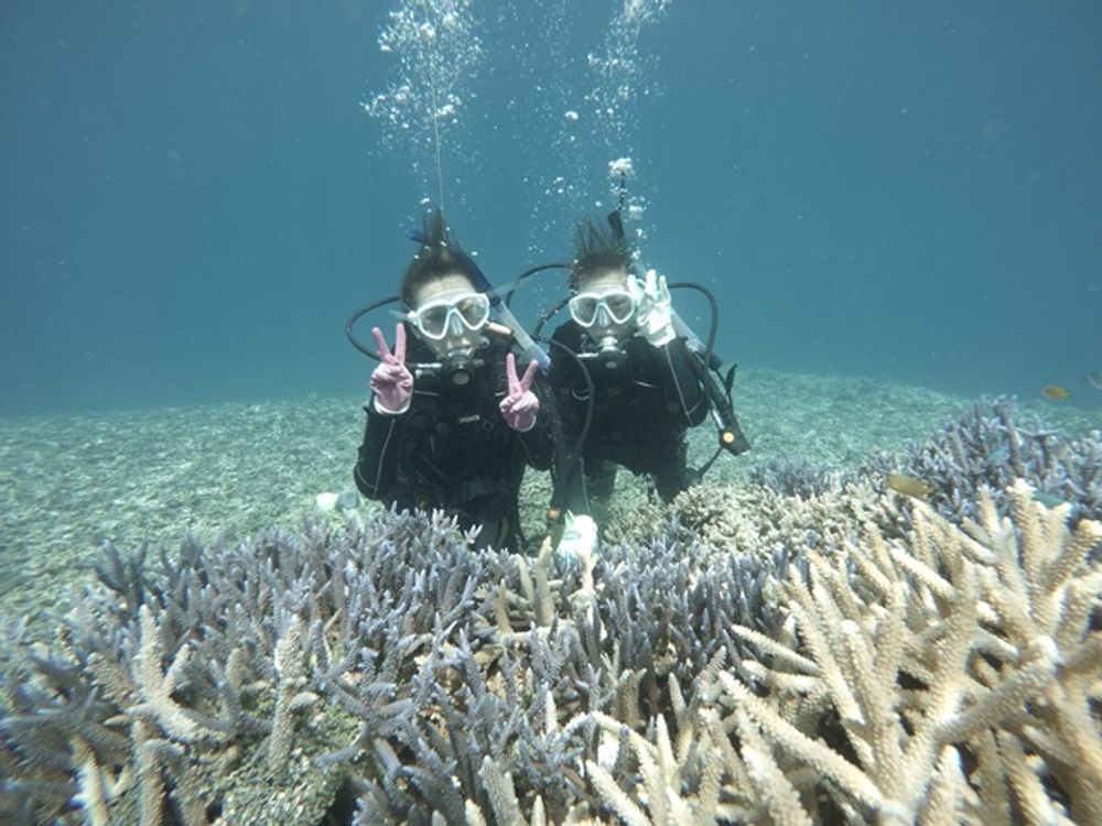 Barasu Island Intro Diving Tour on Iriomote Island ! - Iriomote_island ...