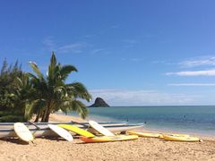 Kualoa Ranch Combo - Movie Sites, Private Beach, Farm Tour & Buffet ...