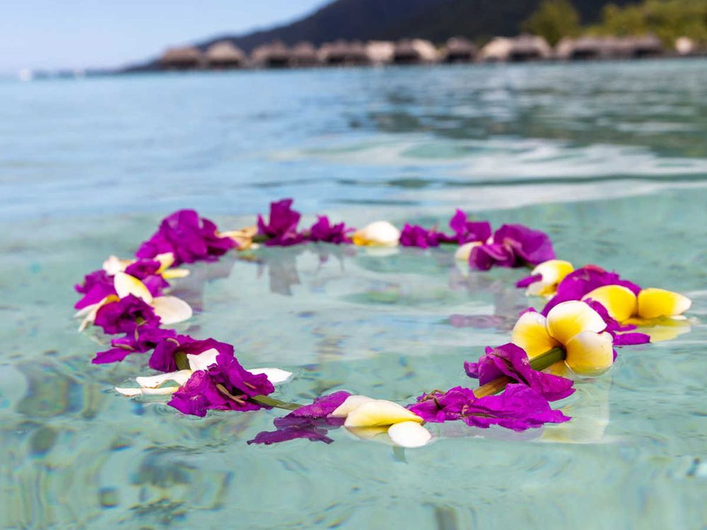 Waikiki Private Burial at Sea Cruise on Luxury Yacht - PCK Nautical ...