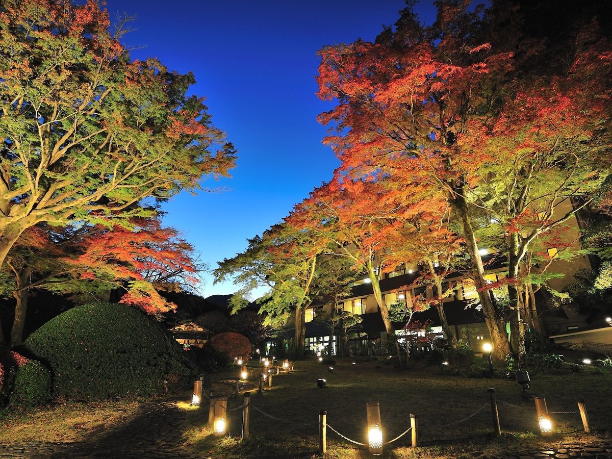 【東京駅発】箱根湯本温泉行きツアー 限定特急踊り子号＋吉池旅館1泊2日 旧岩崎弥之助別邸庭園「山月園」と吉池三献日本料理コース 予約と同時に座席指定！ | 東京の観光&遊び・体験・レジャー専門 ...
