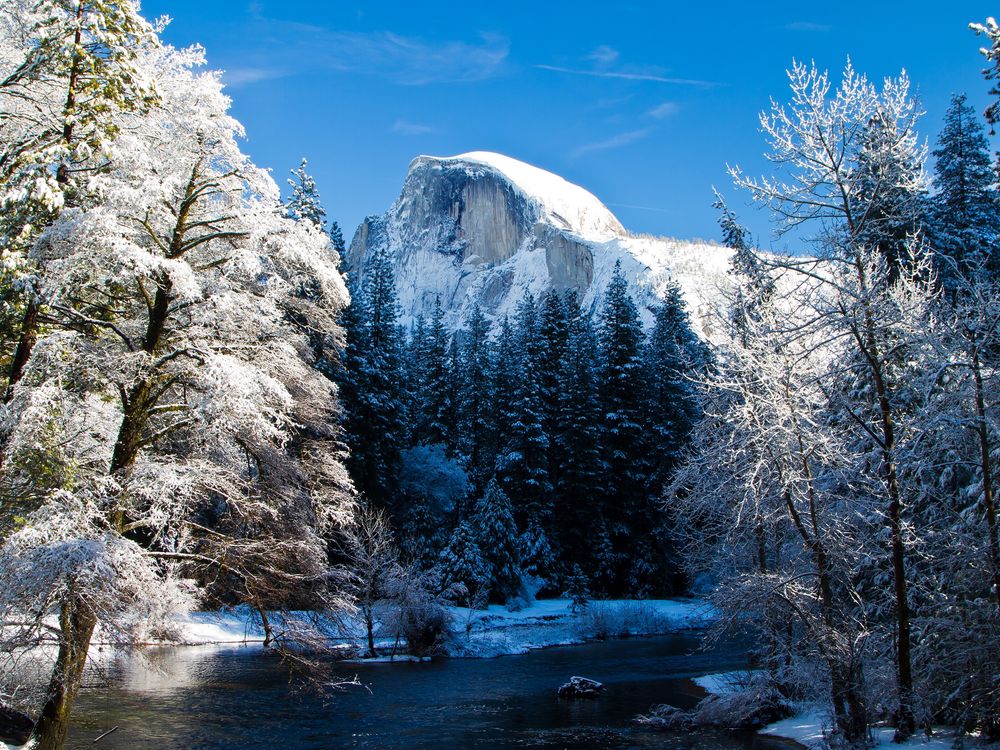 世界遺産ヨセミテ国立公園 日帰り観光ツアー ＜昼食付き／日本語ガイド＞ | サンフランシスコの観光・オプショナルツアー専門 VELTRA(ベルトラ)