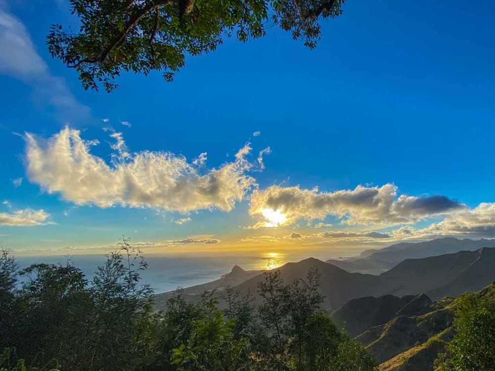 Palehua Ridge Trail Guided Hiking Tour with Lunch from Waikiki & Ko ...