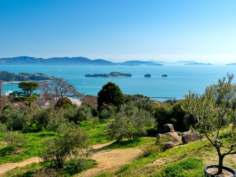 牛窓オリーブ園散策＆しおまち唐琴通りウォーキングツアー ガイドと一緒に自然と歴史を満喫！＜初級コース／約2時間30分／ガイド付／ 瀬戸内市＞ | 岡山の観光&遊び・体験・レジャー専門予約サイト ...