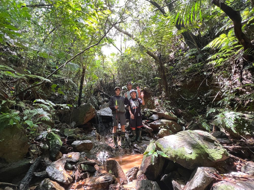 Adventure Trekking Tour – Explore the Miracle Forest of Yanbaru ...