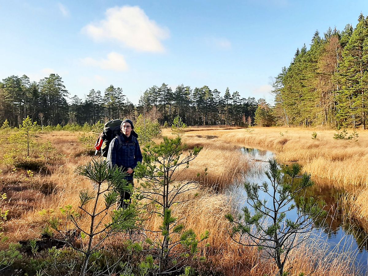 フィンランドの森と湖を満喫！リエスヤルヴィ国立公園（Liesjärvi National Park）ハイキングツアー＜英語ガイド／昼食付／ヘルシンキ発＞ | フィンランド（フィンランド）旅行の ...