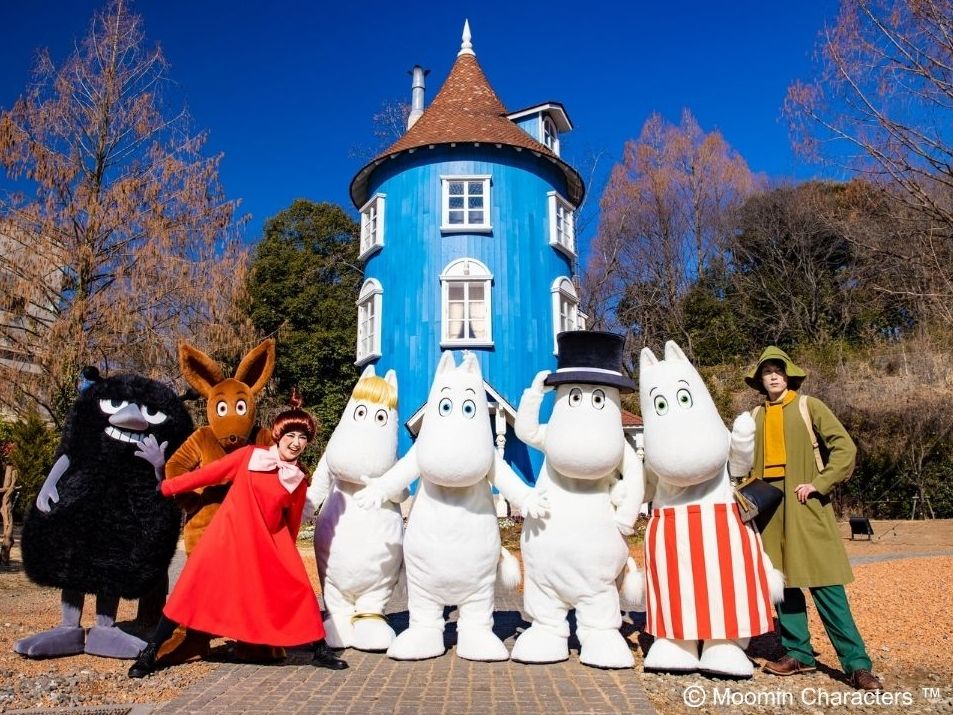 2023年6月25,26日限定！新型特急列車「Laviewラビュー」で行く列車旅！ムーミンバレーパークのアンブレラスカイ＋美の山公園の紫陽花観賞＜昼食付／1日＞ | 東京の観光&遊び・体験 ...