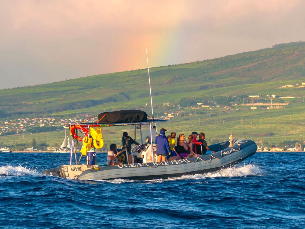 Lanai Snorkel Tour & Dolphin Watching Adventure with Meal - Hawaii ...