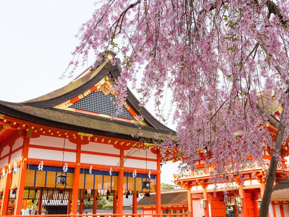 Kyoto Highlights 1-Day Tour to Tenryuji, Arashiyama, Kinkakuji, & Fushimi Inari tours ...