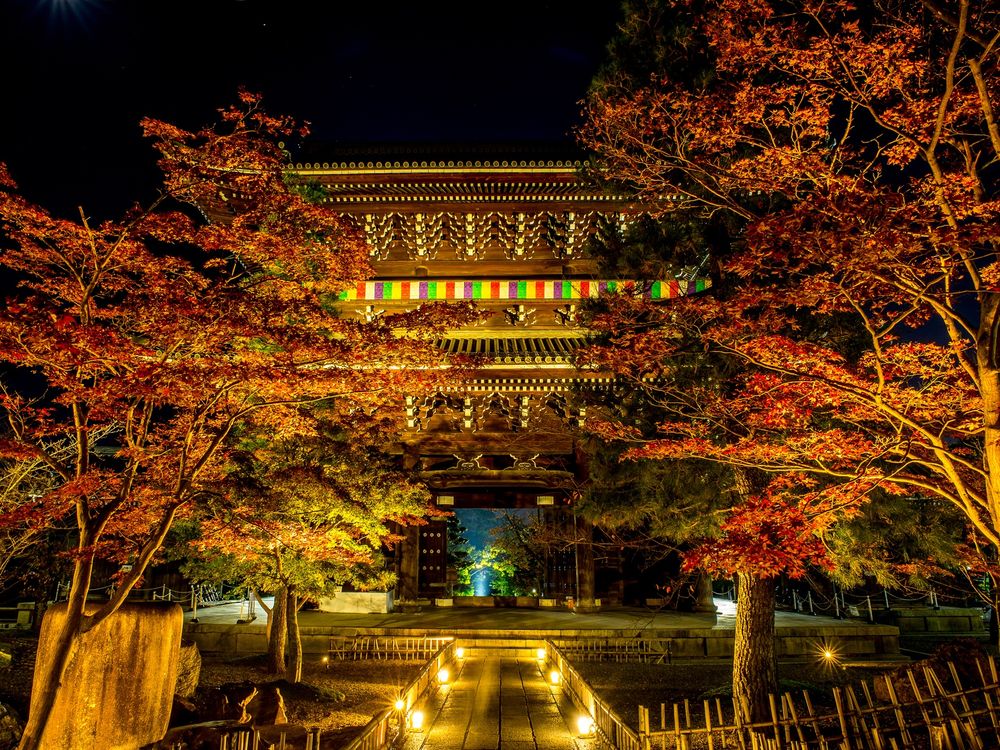 紅葉ライトアップバスツアー 金戒光明寺＋興聖寺（2024/11/15～17・22）＜夕食付／京都駅発＞by おこしバス（京都定期観光バス） | 京都の観光&遊び・体験・レジャー専門予約サイト ...