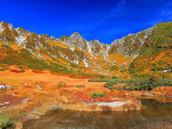 千畳敷カール日帰りバスツアー 手軽にハイキング！駒ヶ岳ロープウェイで一気に日本のスイスへ＜10月／14日／新宿発着＞ | 東京の観光&遊び・体験・レジャー専門予約サイト VELTRA(ベルトラ)
