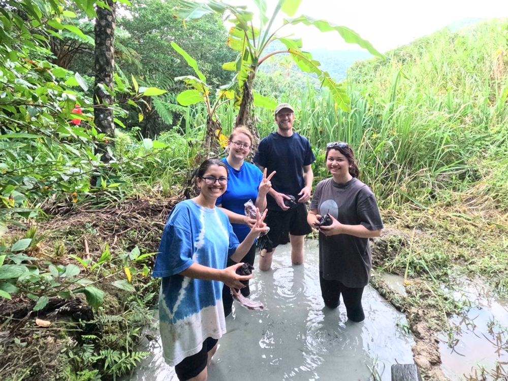 1 Day Dorozome (Mud dyeing) and Local Nature Experience In Amami Oshima ...