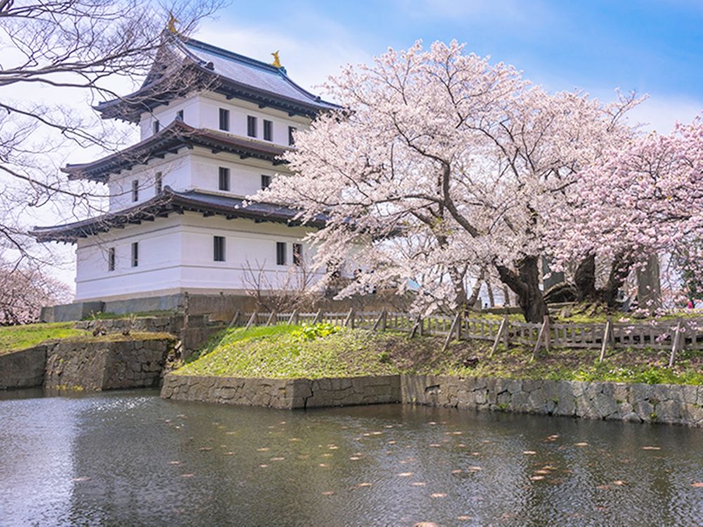 札幌発1泊2日 春爛漫 道南桜めぐりバスツアー 松前公園＋五稜郭公園＋函館公園etc.＜4月20日or4月25日出発／湯元啄木亭宿泊／札幌発＞ | 札幌近郊の観光&遊び・体験・レジャー専門予約 ...