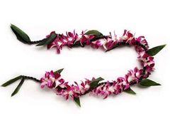 Maui Lei Greeting Service at Kahului Airport - Hawaiian Floral Necklace ...