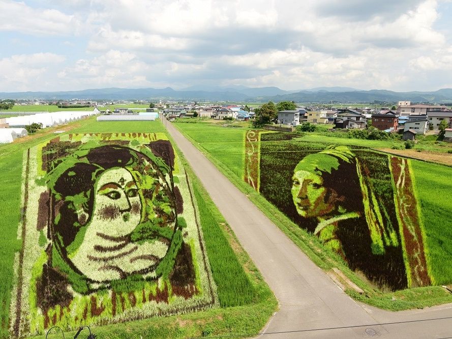 【7月20日限定】青森発バスツアー アート×津軽烏城焼×田んぼアート 国際芸術センター青森の展示会＆青森の自然や観光地を巡るコース＜昼食付／青森駅・新青森駅発＞ | 青森の観光&遊び・体験 ...