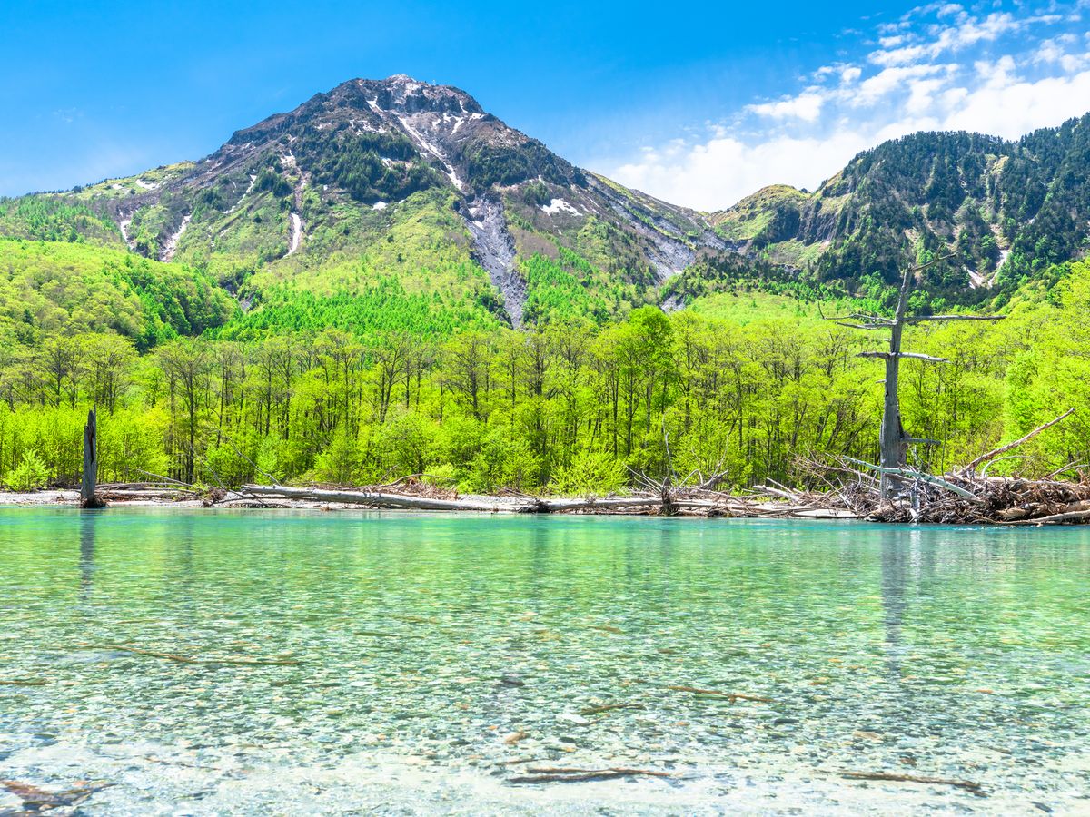 日帰りバスツアー 夏の上高地を自由に散策 たっぷり3時間半フリータイム＜7月20日、8月3日、8月11日／金沢発着＞ | 金沢の観光&遊び・体験・レジャー専門予約サイト VELTRA(ベルトラ)