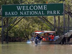 バコ国立公園トレッキングツアー 珍しい野生動植物を観察 ＜日本語ガイド／クチン発＞ | クチンの観光・オプショナルツアー専門 VELTRA(ベルトラ)
