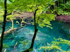 十二湖ネイチャーツアー 世界自然遺産白神山地に位置する神秘的な湖を現地ガイドと巡るコース＜5月～10月／深浦町＞ | 青森の観光&遊び・体験 ...