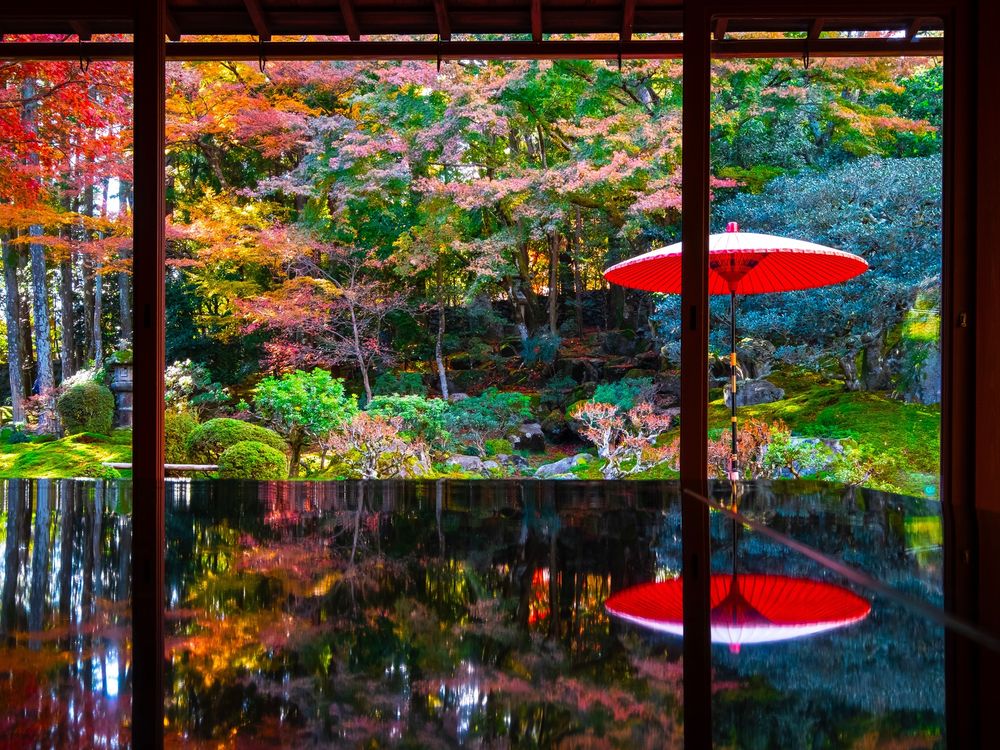 Shiga Day Trip Tour: MIHO MUSEUM, Chikurin-In, and Shirahige Shrine From Osaka tours, activities ...