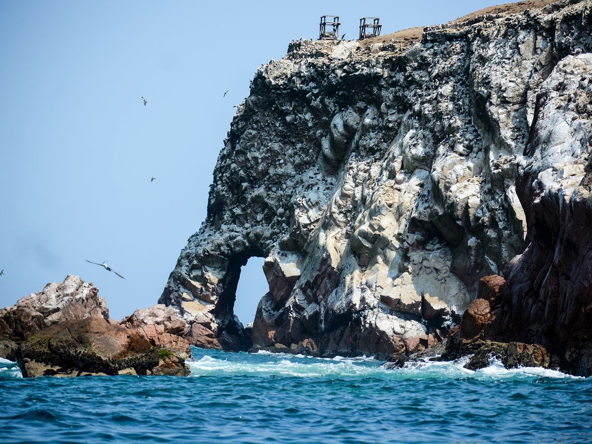 バジェスタス諸島2時間クルーズツアー＜混載／英語ガイド／パラカス発＞ | ペルーの観光・オプショナルツアー専門 VELTRA(ベルトラ)
