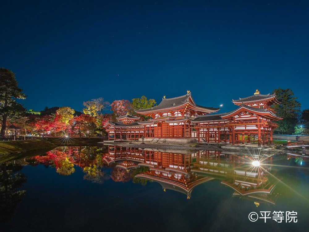 紅葉ライトアップバスツアー 平等院 夜間特別拝観と京料理（2024/11/25～11/27）＜夕食付／京都駅発＞by おこしバス（京都定期観光バス） | 京都の観光&遊び・体験・レジャー専門 ...