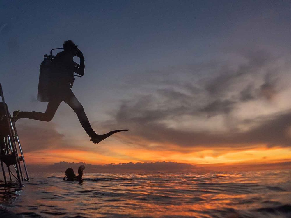 Waikiki Two-Tank Twilight and Night Scuba Boat Tour & Sunset Cruise ...