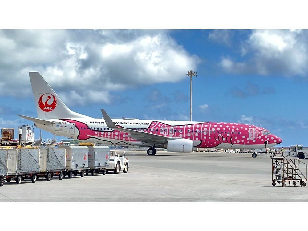 ＜催行決定！＞那覇空港バックヤードツアー 普段見られない制限エリアをJALグループスタッフの解説付きでご案内＜12月21日（土）開催／2時間半～3時間＞ | 沖縄本島の観光・オプショナルツアー ...