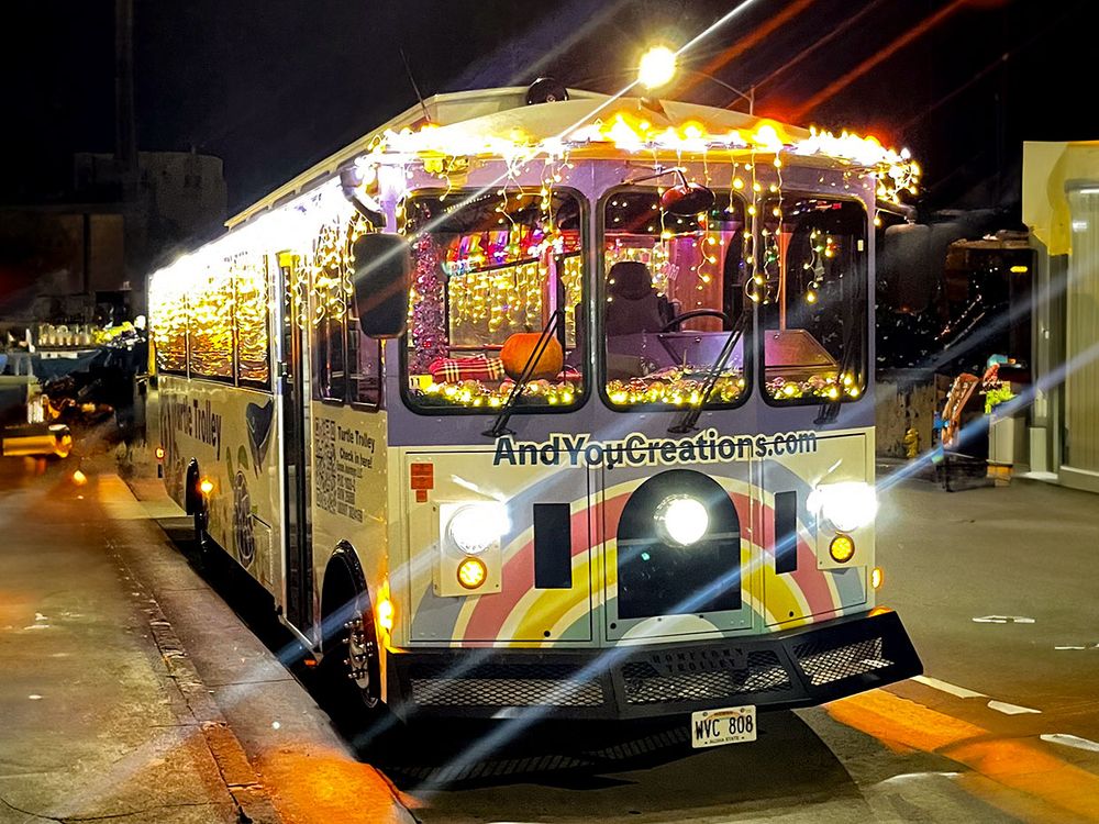 Honolulu Christmas City Lights & Show Aloha Land Holiday Trolley Ride ...