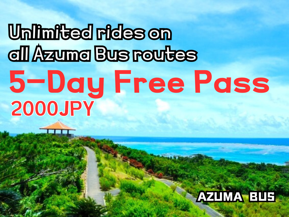 Ishigaki Island 5-Day Bus Free Pass: Unlimited rides on all Azuma Bus ...