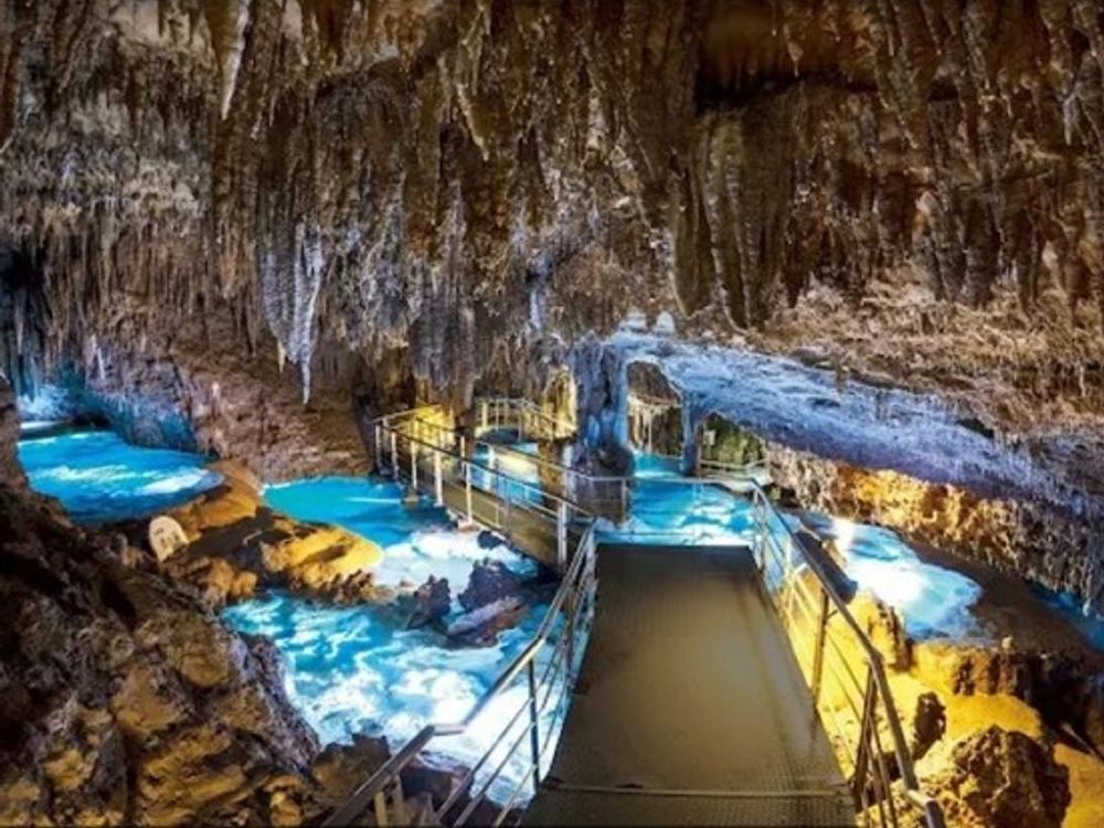 Southern Okinawa Bus Tour: Shuri Castle, Okinawa World & Senaga Island ...